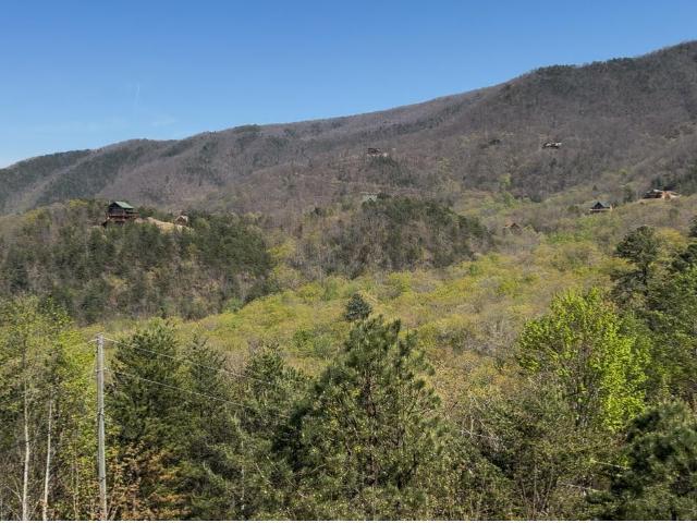 Lot 11 Perry Cir Lane