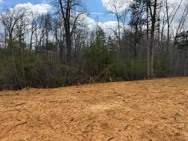 Lot 11 Phase 2 Stearns Hollow Road
