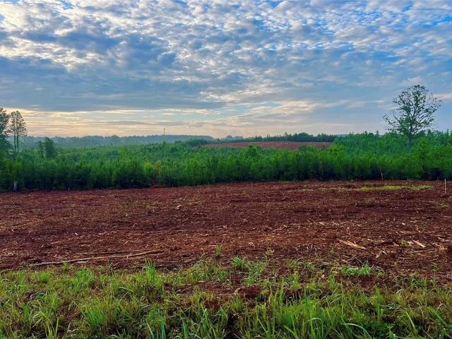 Lot 11 Pickens Drive