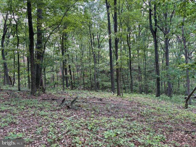 LOT 11 Rock Creek Trail
