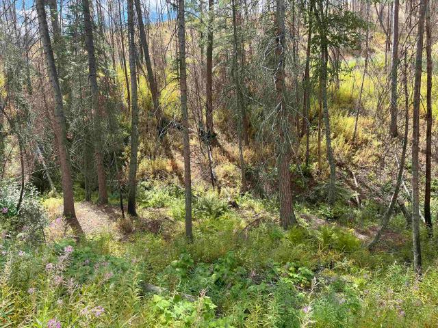 Lot 11 Rail Canyon Rd, Tumtum, WA 99034 | MLS #202413