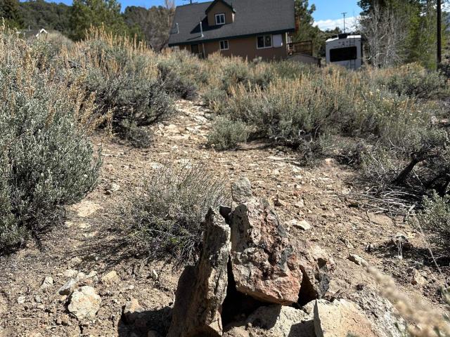 Lot 11 Rickey Peak Rd, Bridgeport, CA 93517 | MLS #250276