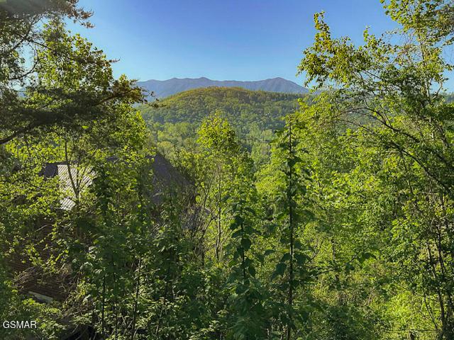 Lot 11 W Pinnacle Drive
