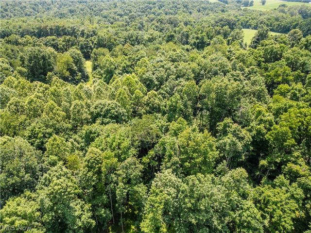 Lot 11 TOwnship Rd 51