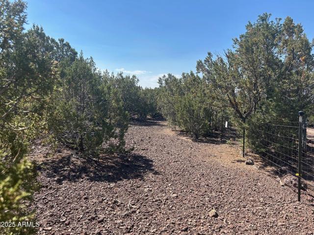 Lot 11 Uphill Trail, Unit 11, Concho, AZ 85924 | MLS #6905 | Compass