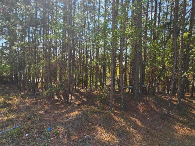 Lot 11a Summer Place Drive