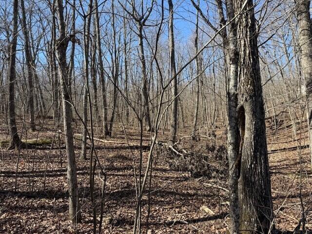 Lot 11b Shadowland Drive