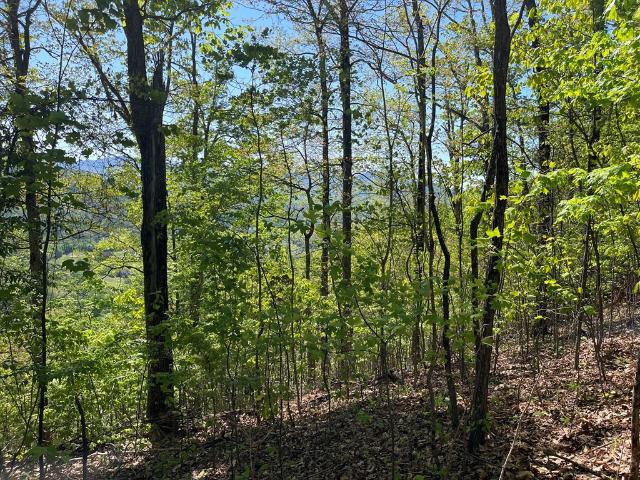 Lot 11j Ash Branch View # 11J
