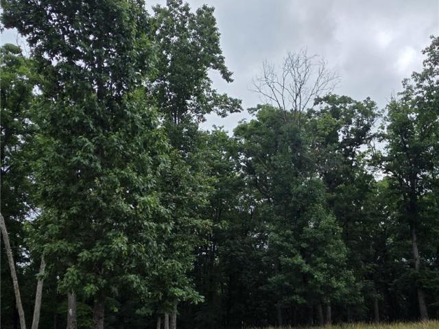 Lot 124 Terry Road