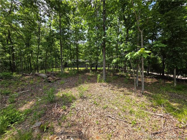Lot 1255 Spring Creek Drive