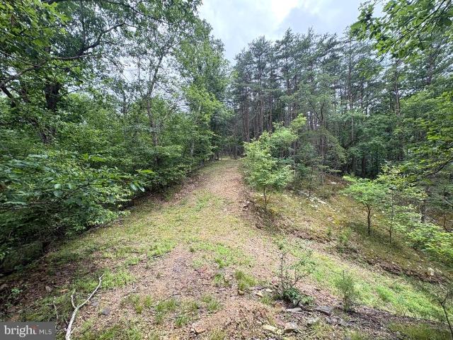 Lot 126 Bluffs Blue Beach Road