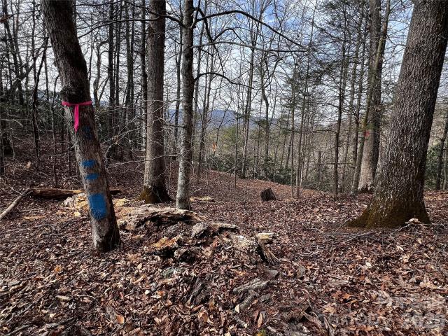 Lot 127 Bear River Lodge Trail