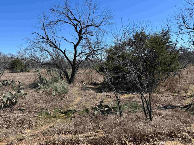 Lot 128 Brent Dr, Kingsland, TX 78639 | MLS #172282