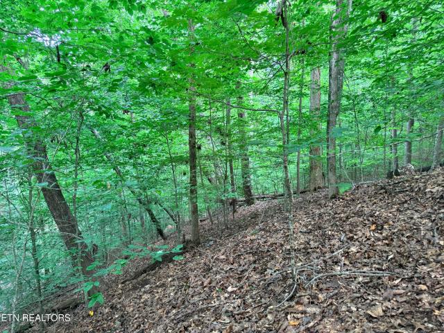 Lot 128 Islandview Point