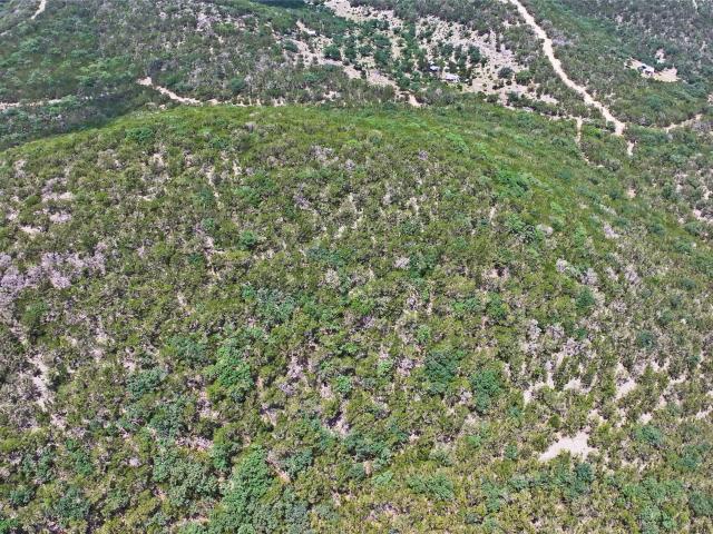 Lot 129 Spring Country Ranch Road