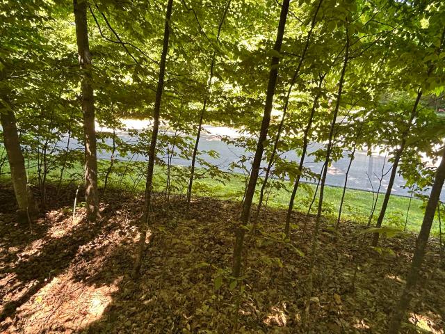 Lot 129 Troon South