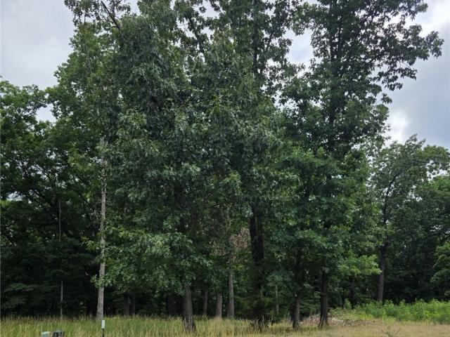 Lot 120 Terry Road