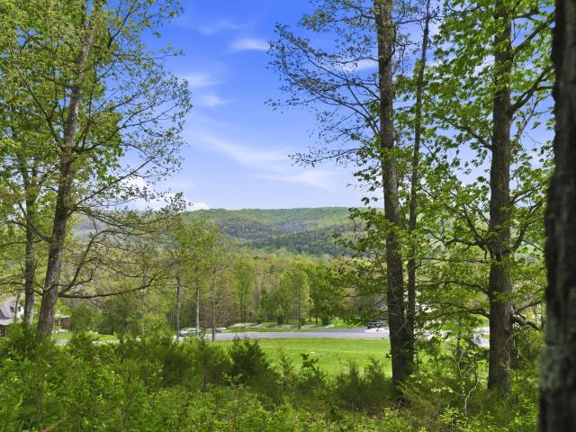 Lot 2 Meadowview Lane