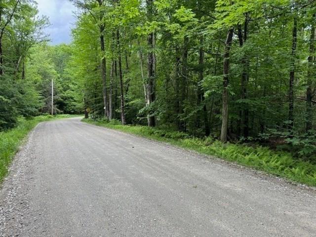 Lot 121 Davis Mine Rd