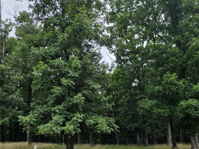 Lot 121 Terry Road