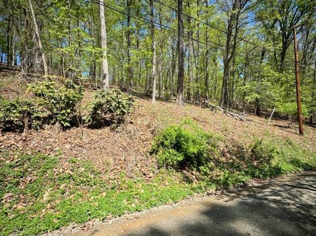 Lot 121 Timber Ln