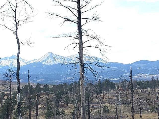 Lot 1223 Emery Loop