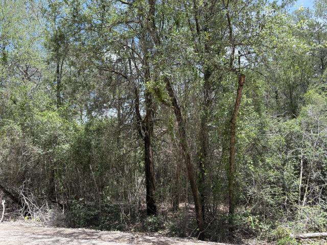 Lot 1228 & 1229 Hanauma Dr