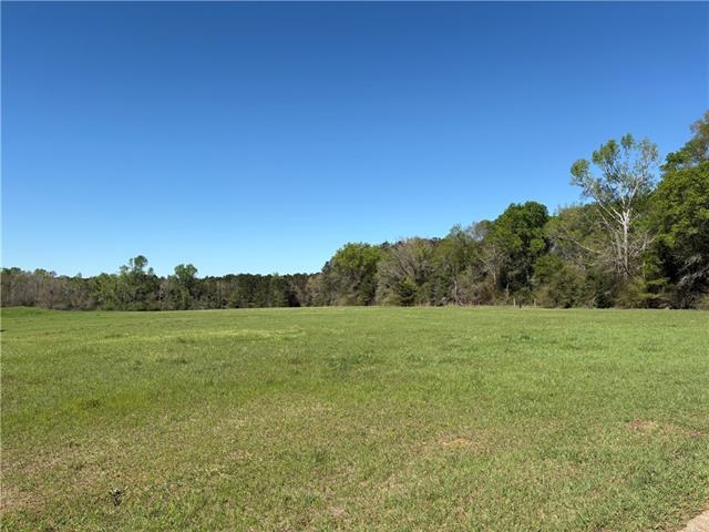Lot 123 Bridger Ave, Loranger, LA 70446 | MLS #2549