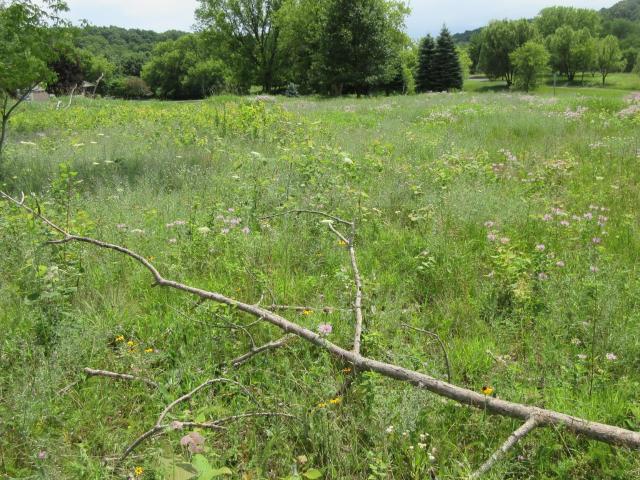 Lot 12 516th Street
