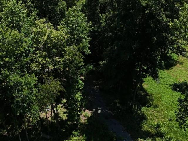Lot 12 Cherokee Drive