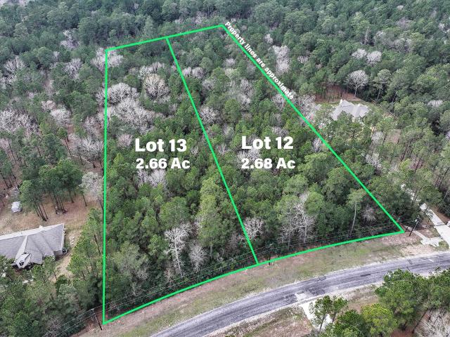 Lot 12 Chisholm Trail