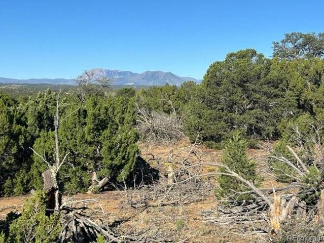 Lot 12 City Ranch Property