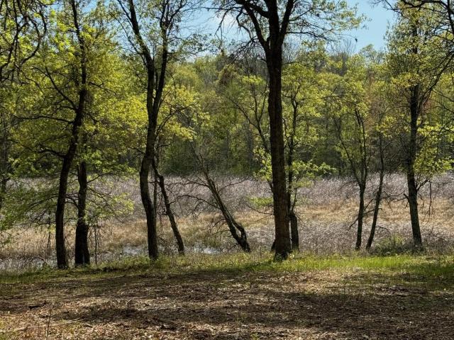 Lot 12 Crystal Lake Drive