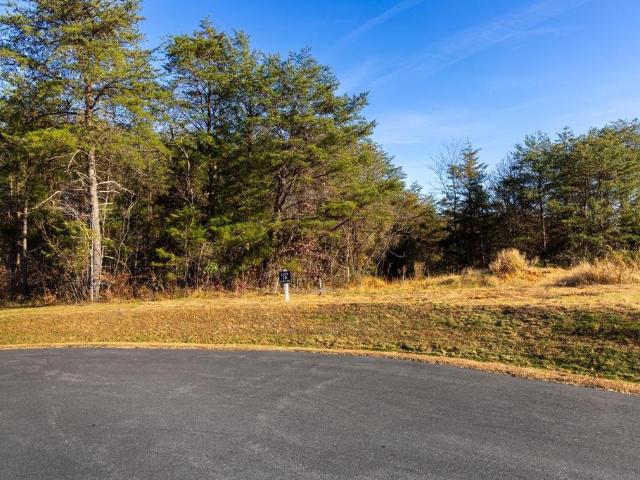 Lot 12 Bartholomew Pl