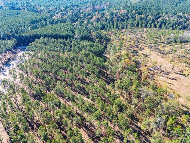 Lot 12 Big Buck Drive