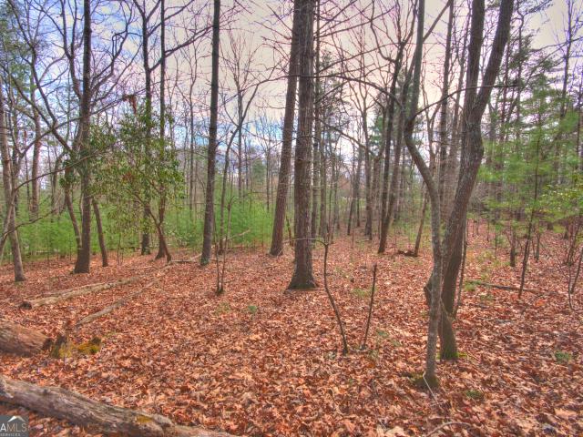 LOT 12 Deer Forest