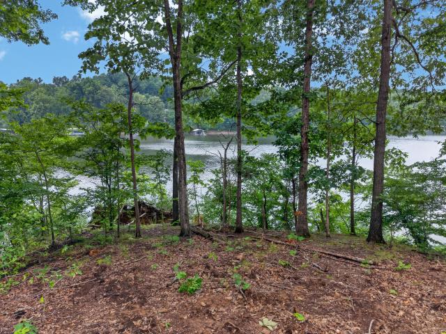 Lot 12 Elwood Road