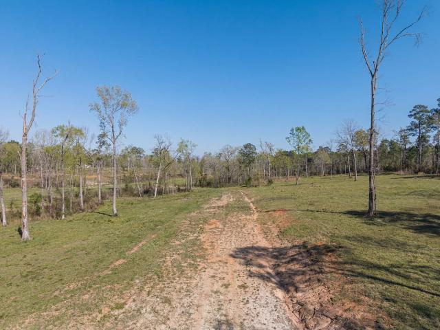 Lot 12 FM 350 N