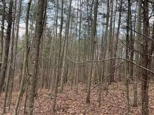 Lot 12 Fisher Valley Rd, Dobson, NC 27017 MLS 1172521