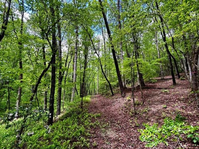 LOT 12 Frances Drive
