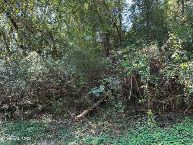 Lot 12 Hickory Hill Drive
