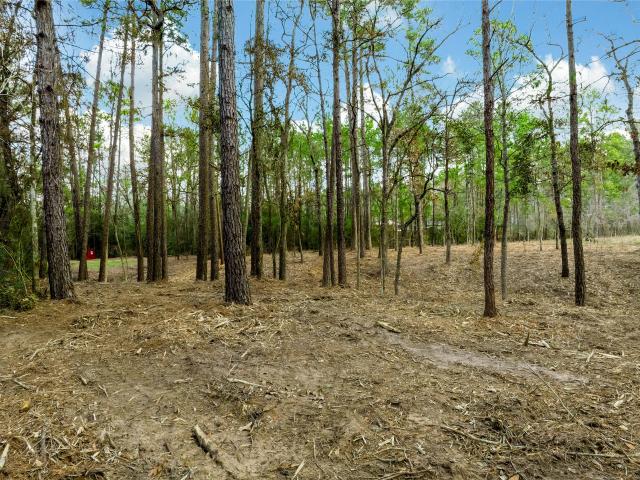 Lot 12 Mayhaw Ln, Plantersville, TX 77363 | MLS #42782