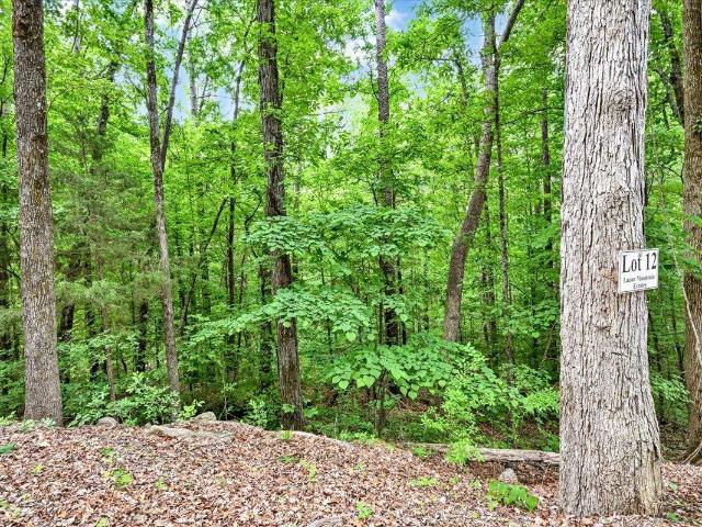 Lot 12 Mill Creek Rd