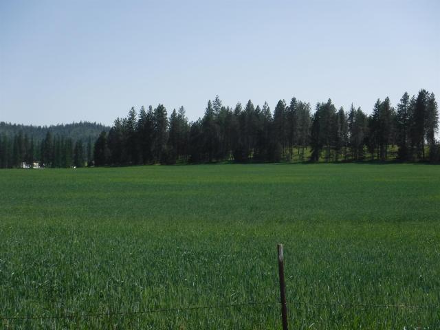 Lot 12 Mule Deer Ln, Deer Park, WA 99006 | MLS #202526