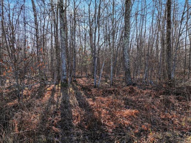 Lot 12 N Peninsula Rd, Hayward, WI 54843 | MLS #6633