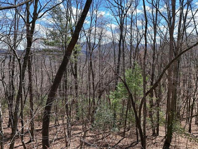 Lot 12 Native Trl, Cherry Log, GA 30522 | MLS #428779