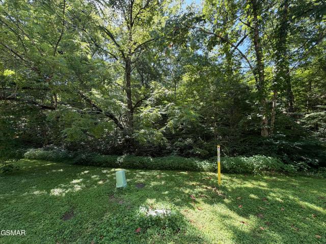 Lot 12 Smoky Mountain Way