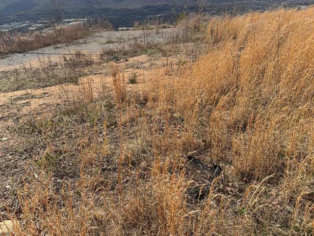 Lot 12 Scenic Hwy, Rising Fawn, GA 30738 | MLS #10717 | Compass
