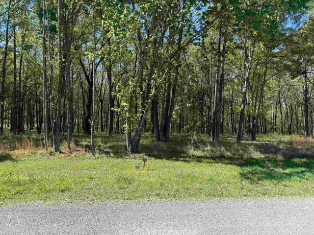 Lot 12 Shiloh Landing Pointe