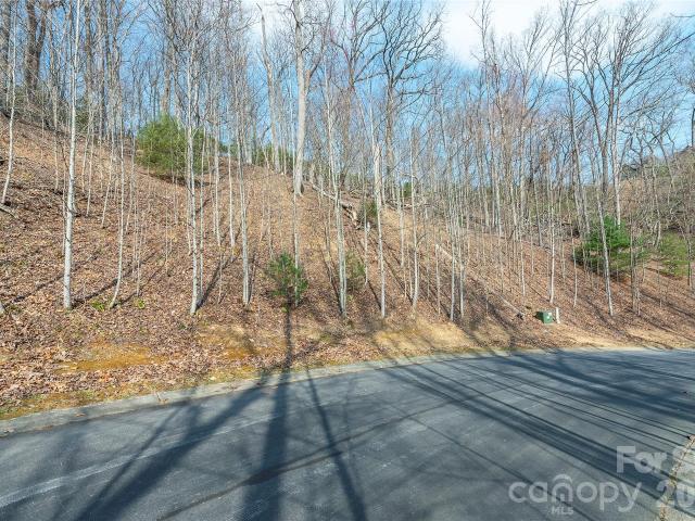 Lot 12 Shining Rock Path